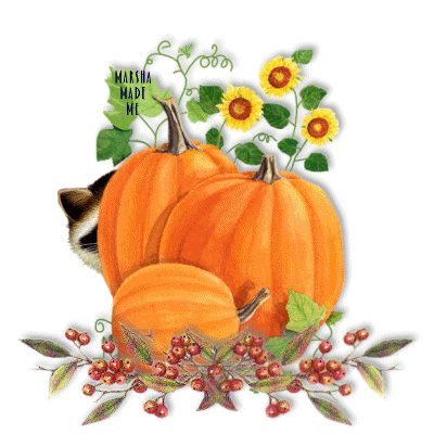 ® Colección de Gifs ®: GIFS DE CALABAZAS